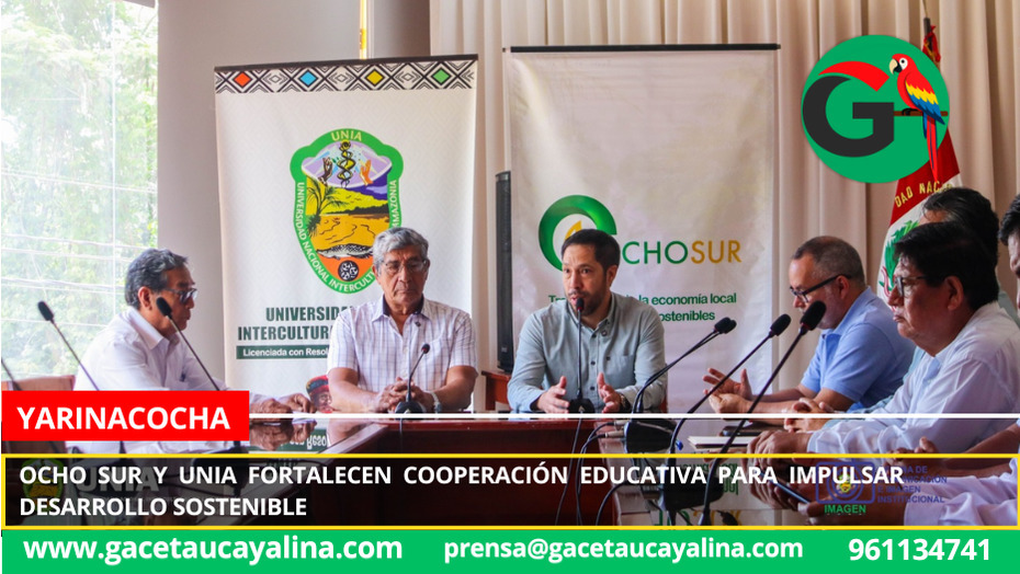 Ocho Sur y UNIA fortalecen cooperación educativa para impulsar ...